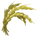 Rice - Palia Crop - Palia Database