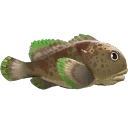 Stonefish - Palia Fish - Palia Database