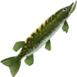 巴哈里狗魚 - Palia Fish - Palia Database