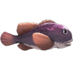 Blobfish - Palia Fish - Palia Database