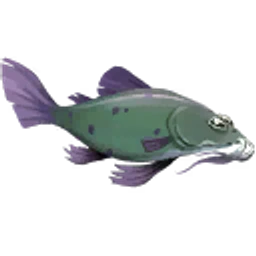 Channel Catfish - Palia Fish - Palia Database