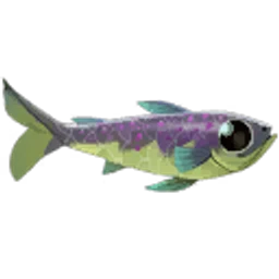 Enchanted Pupfish - Palia Fish - Palia Database