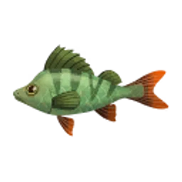 Kilima Redfin - Palia Fish - Palia Database