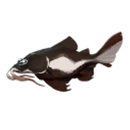 Kilima Catfish - Palia Fish - Palia Database