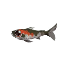 Sardine - Palia Fish - Palia Database