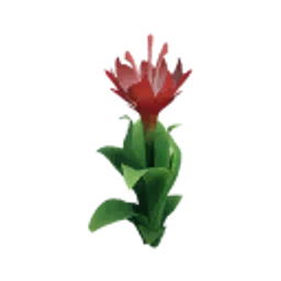 Heartdrop Lily - Palia Gatherable - Palia Database