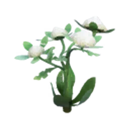 Dari Cloves - Palia Gatherable - Palia Database